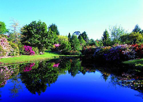 Gallery - Heritage Park
